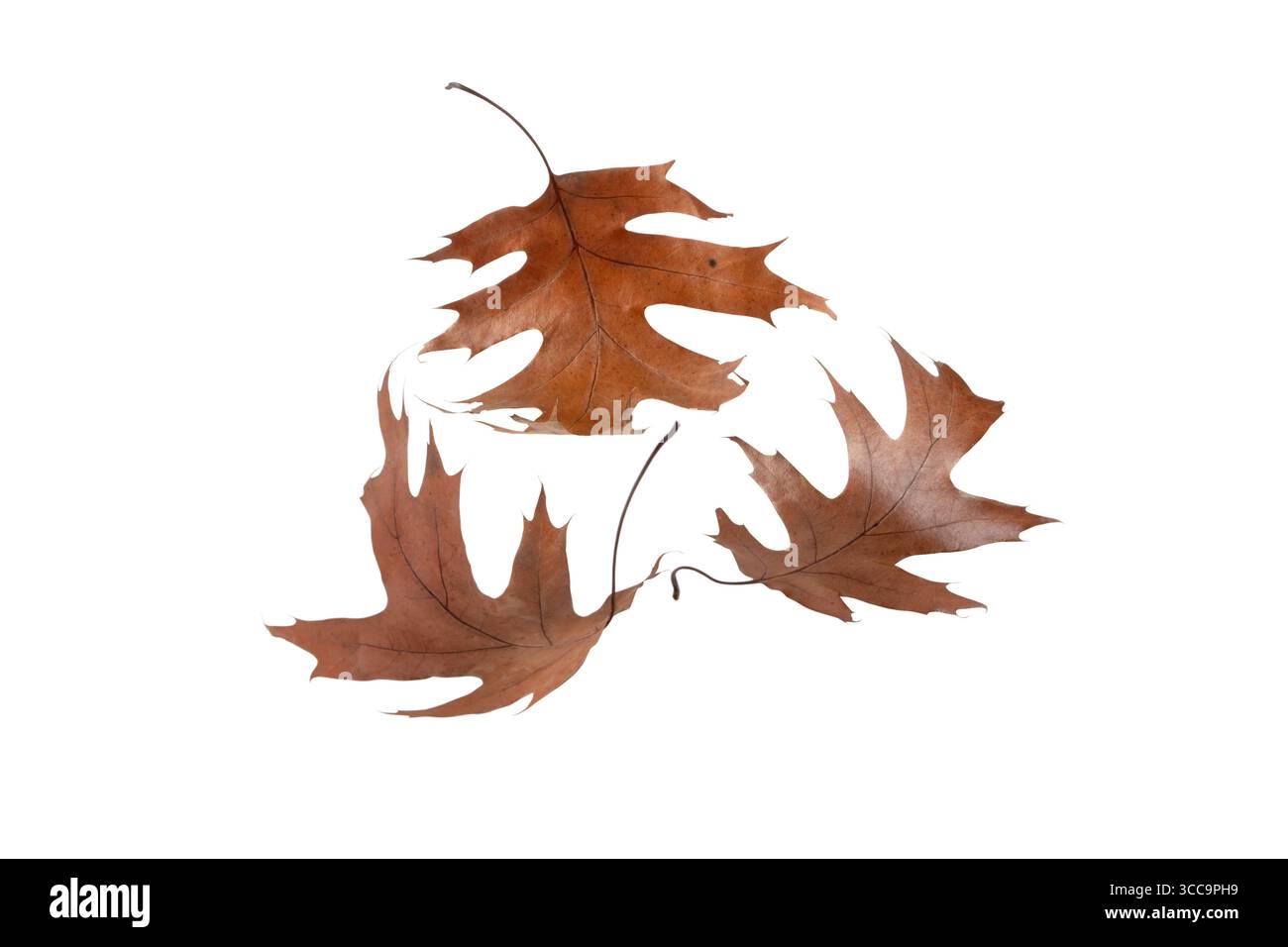 Perfect countryside Cut Out Stock Images & Pictures - Alamy