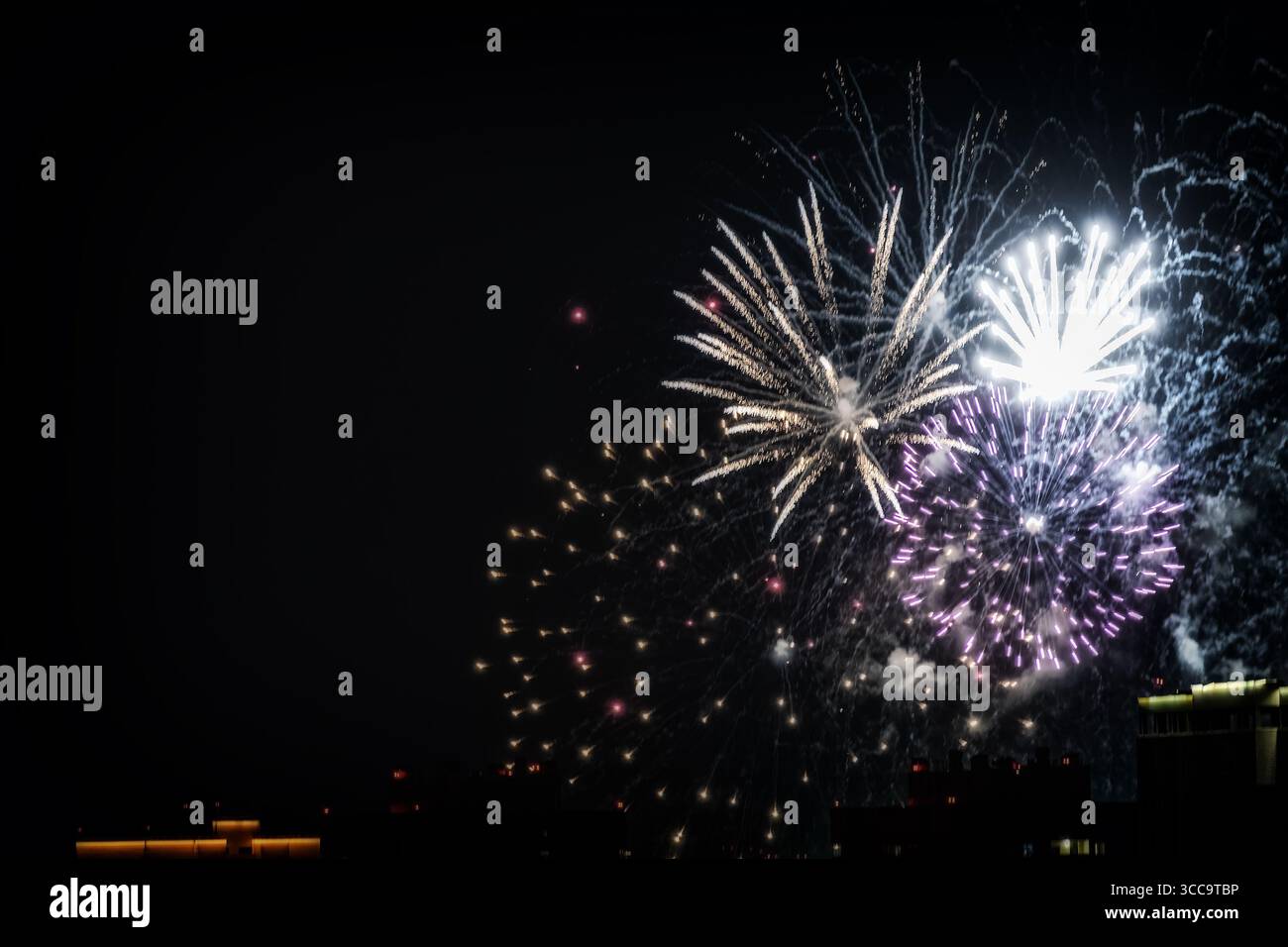 Many fireworks explodes in the black night sky, illuminating the ...