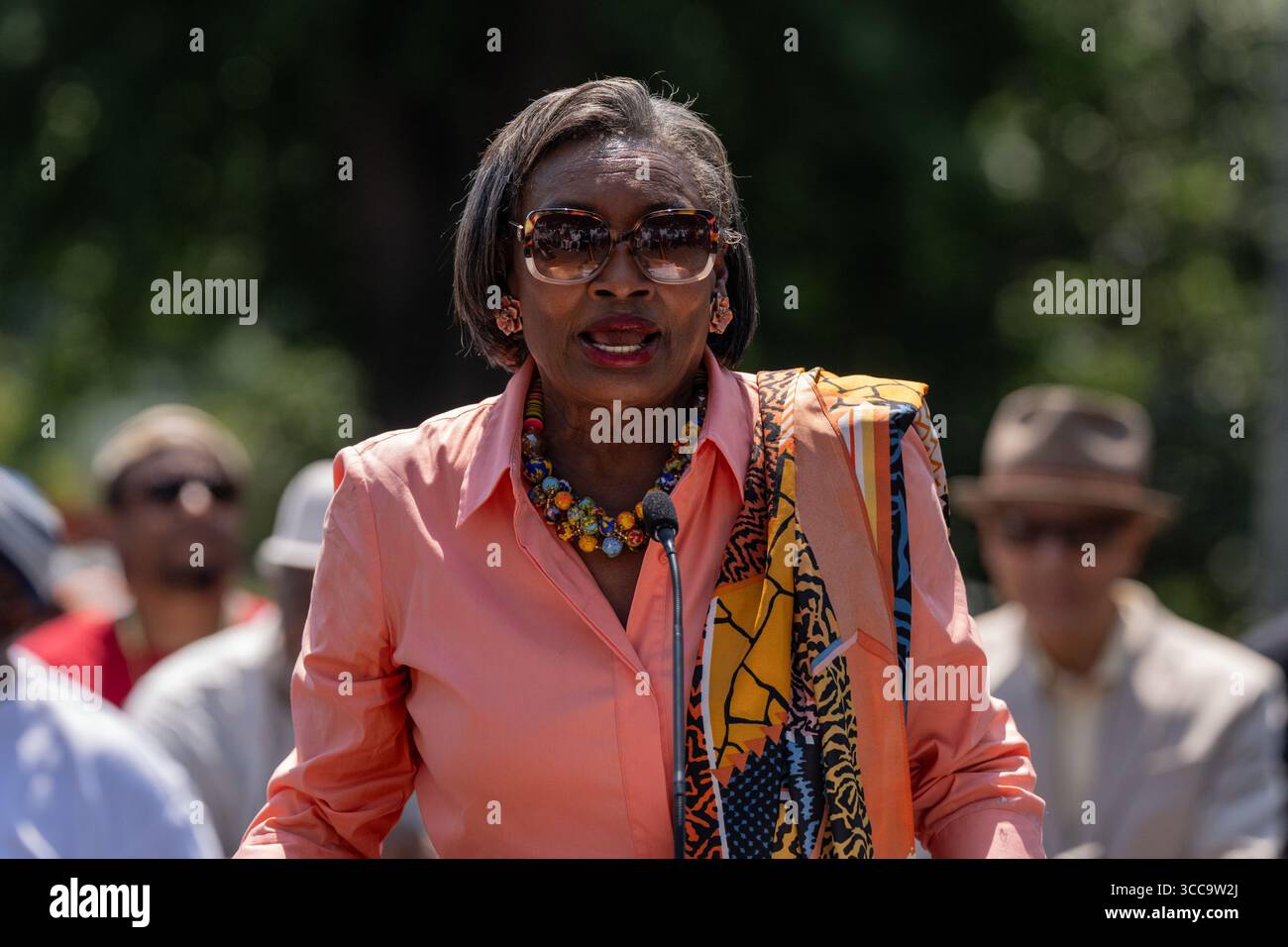 Senate Majority Leader Andrea-Stewart-Cousins speaks during celebration ...
