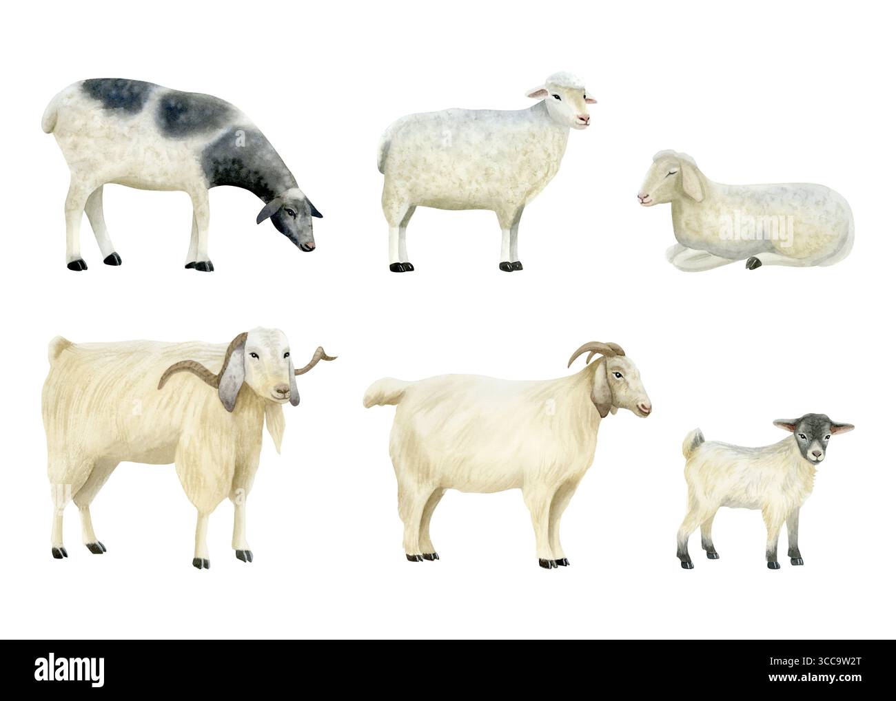 Animals resting animals Cut Out Stock Images & Pictures - Alamy