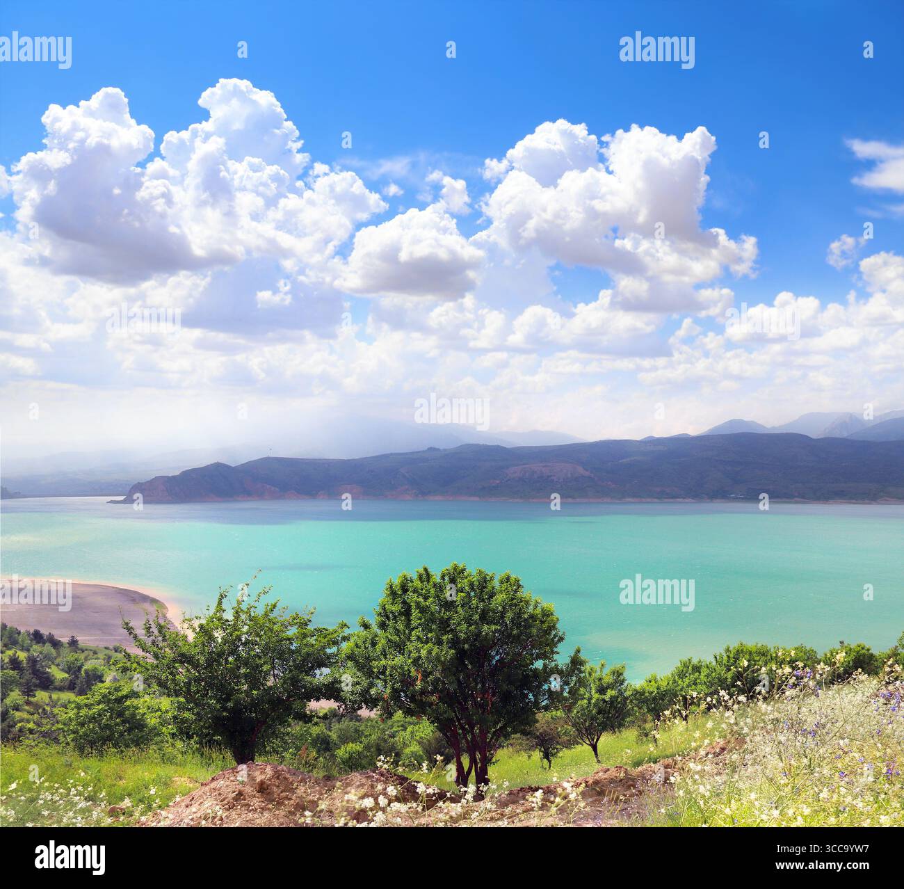 Aerial view of picturesque Charvak reservoir, Tashkent region ...