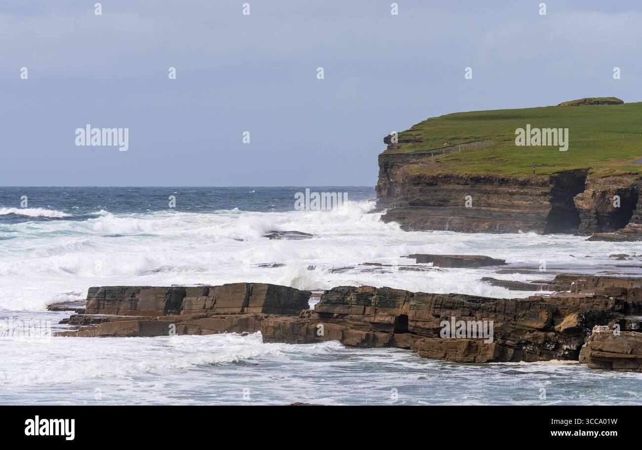 Windswept grassy cliffs sea hi-res stock photography and images - Alamy