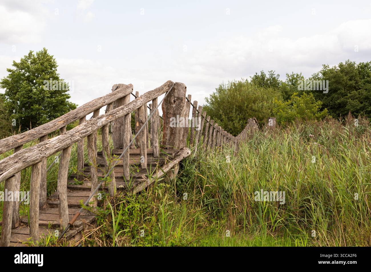 Wooden walking bridge wetlands area "Hageven" in Belgium Stock Photo ...