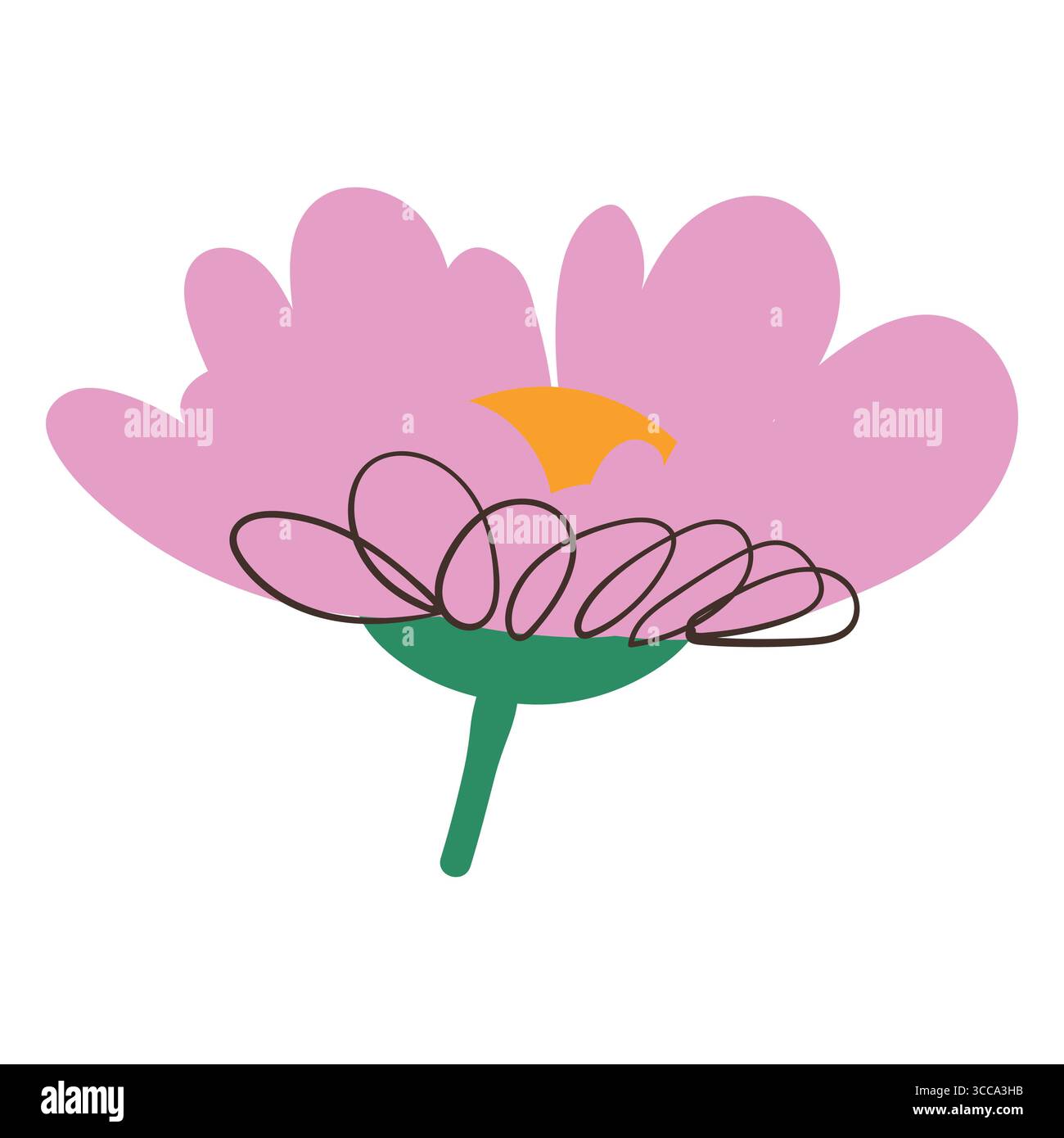 Pink Heart Petal Flower Side View With Orange Center And Green Stem ...