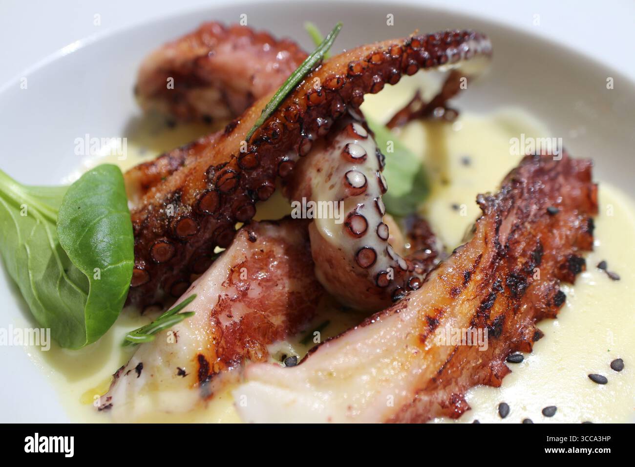 Italian cuisine: grilled octopus with cream of potatoes in Murano ...