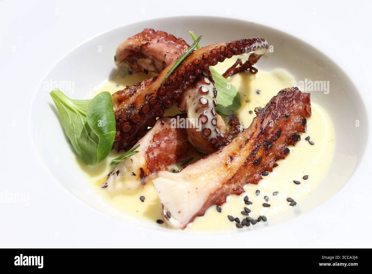 Italian cuisine: grilled octopus with cream of potatoes in Murano ...