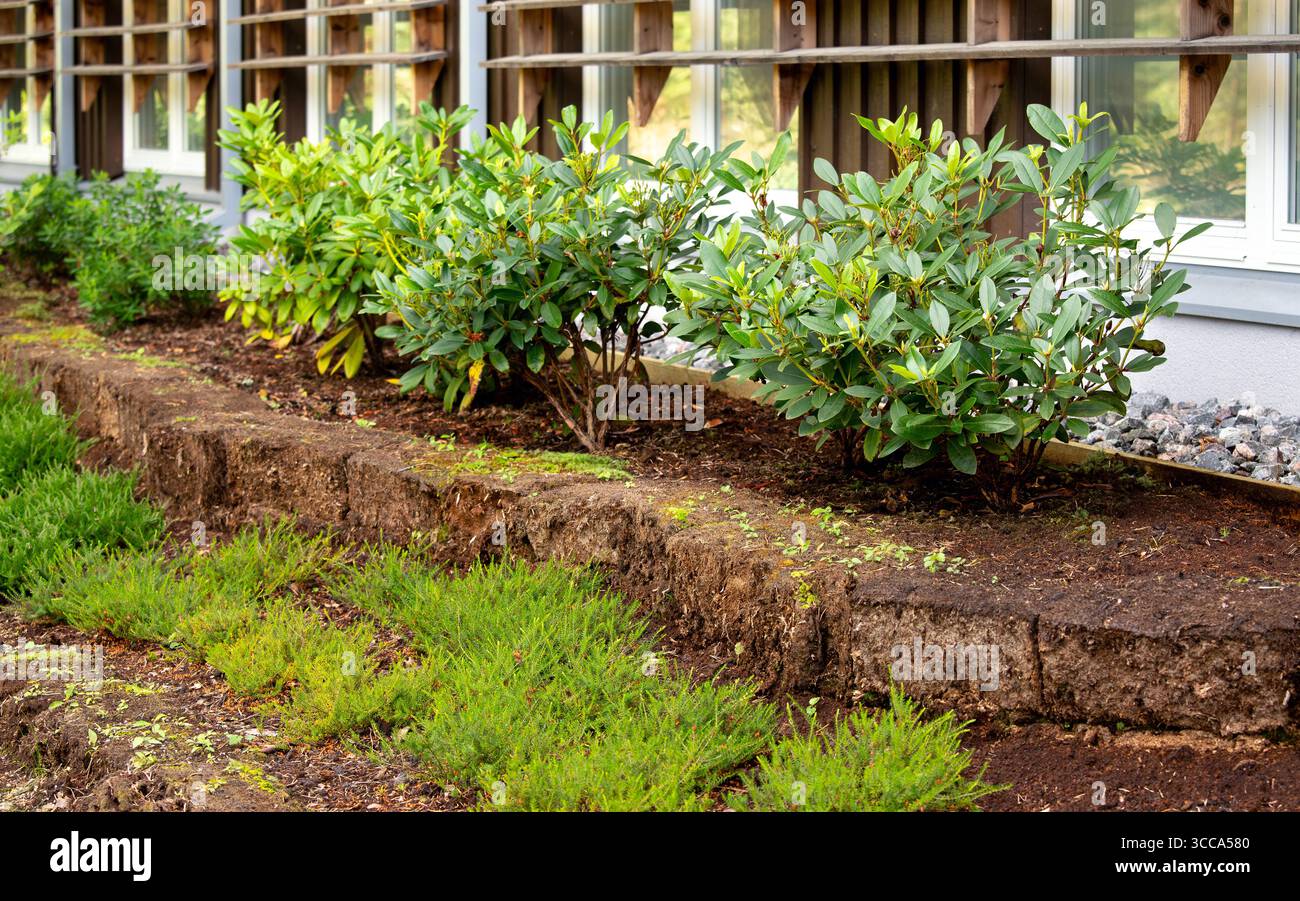Peat loving hi-res stock photography and images - Alamy