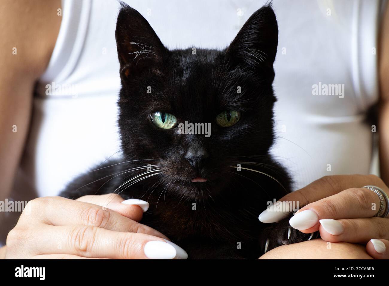 Pet girl hi-res stock photography and images - Alamy