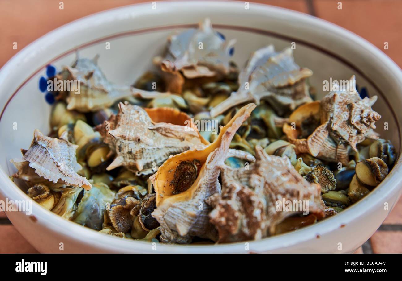 Snails sea food hi-res stock photography and images - Alamy