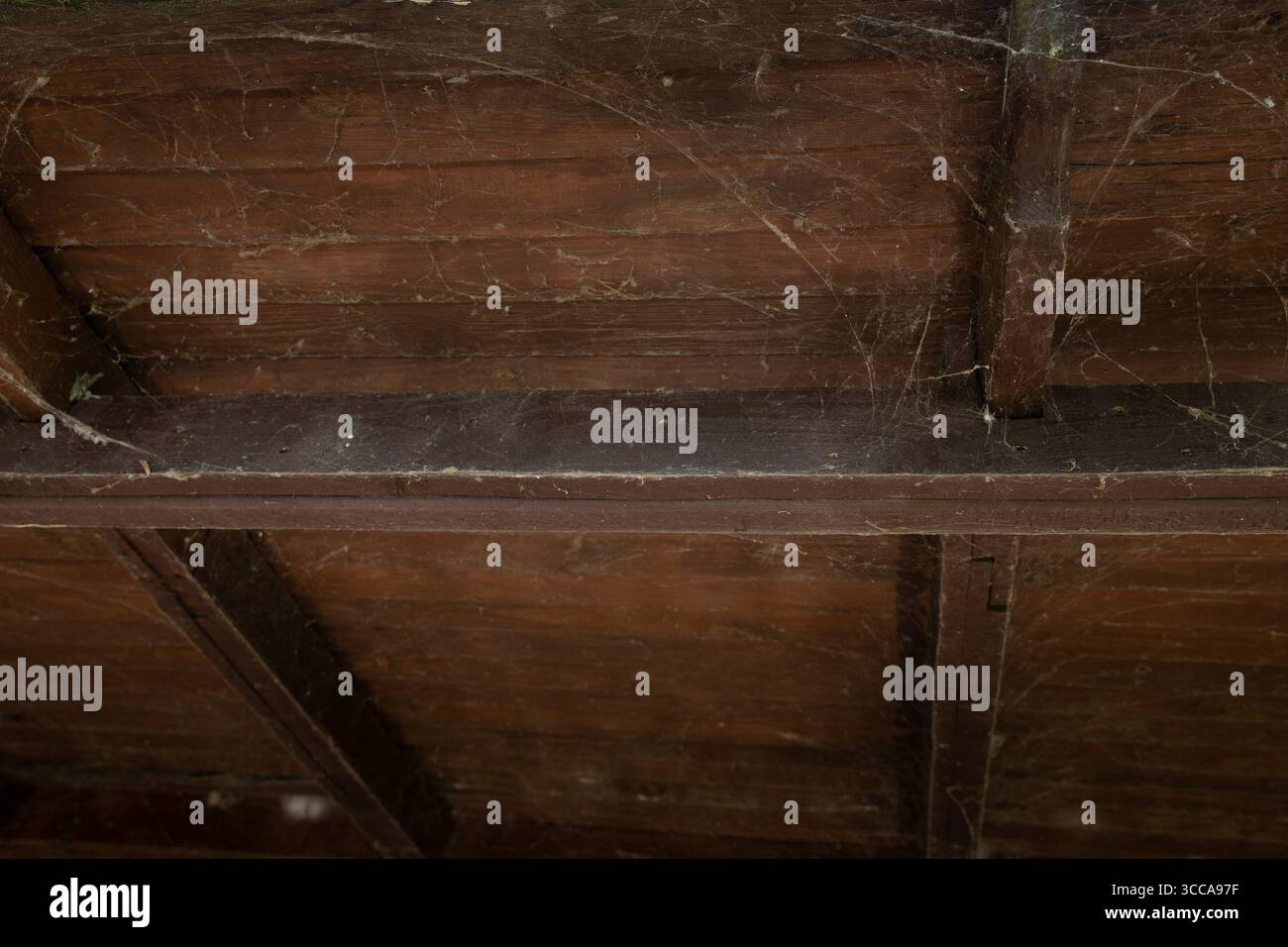 Spooky dark brown wooden wall with scattered cobwebs Perfect eerie ...