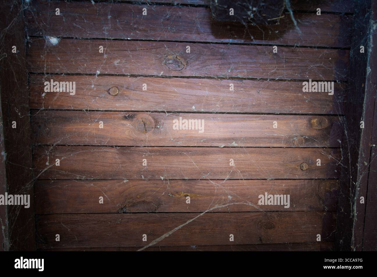 Spooky dark brown wooden wall with scattered cobwebs Perfect eerie ...