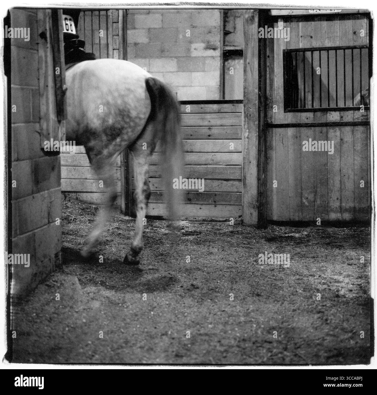 Landmarks of chicago Cut Out Stock Images & Pictures - Alamy