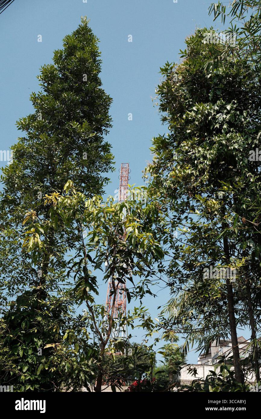 Red and white telecommunication tower rising above lush green tropical ...