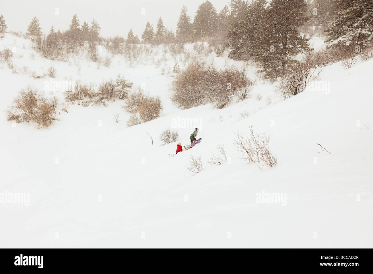 Kids playing downhill hi-res stock photography and images - Alamy