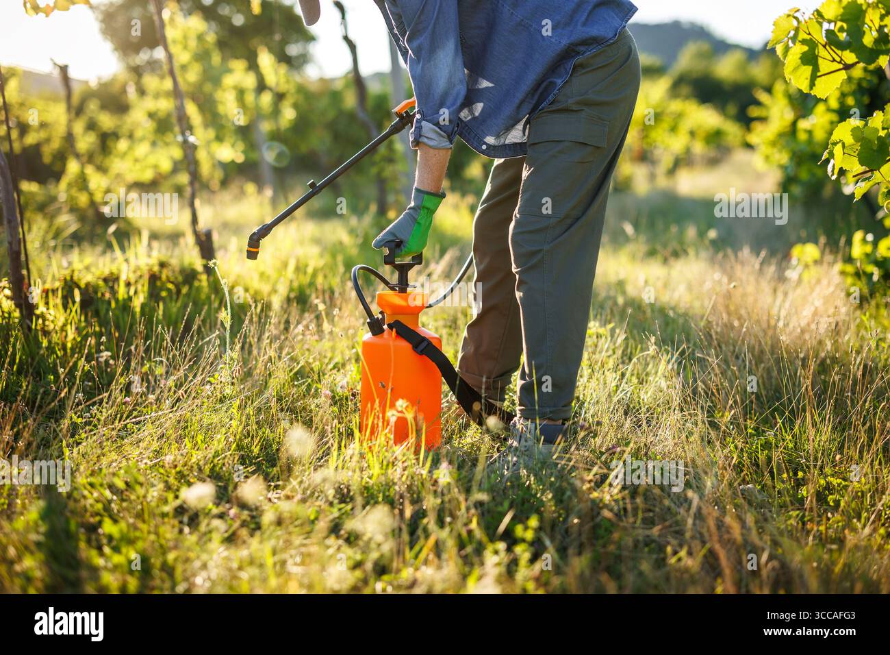 Farmer pumping crop sprayer hi-res stock photography and images - Alamy