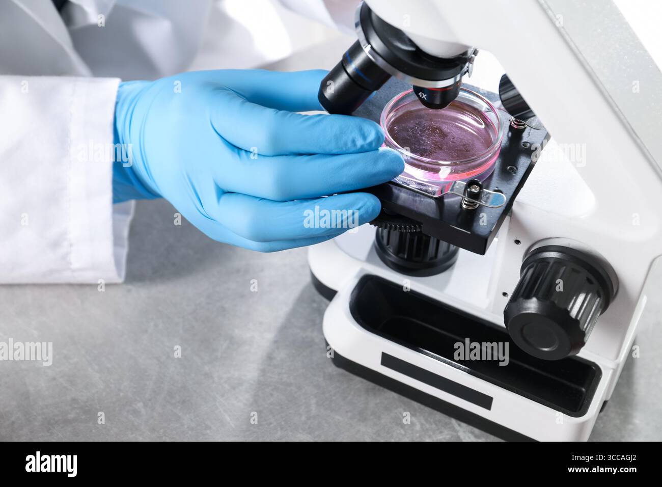 Scientist examining sample under microscope at grey table in laboratory, closeup. Solution ...