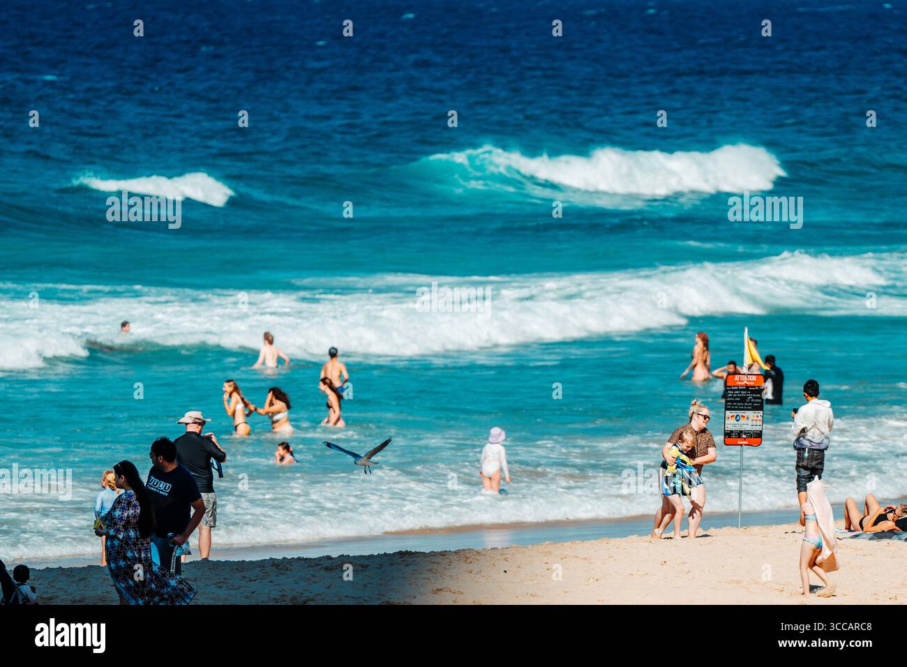Surf and swim zone on the Gold Coast, Queensland, Australia, with ...