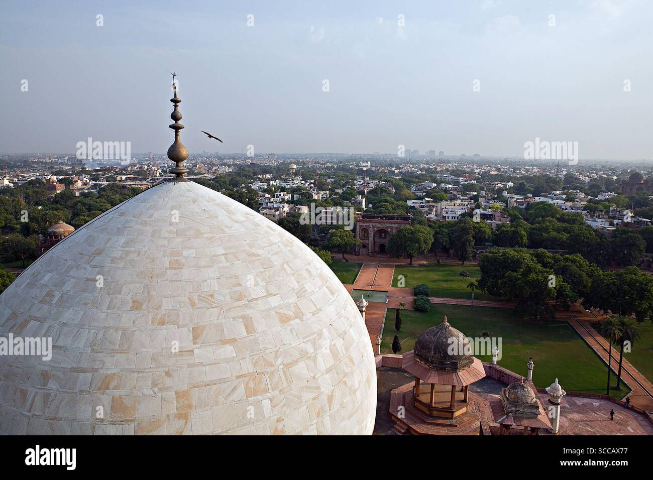 Aerial view of a white dome and spire, with a bird flying above lush ...
