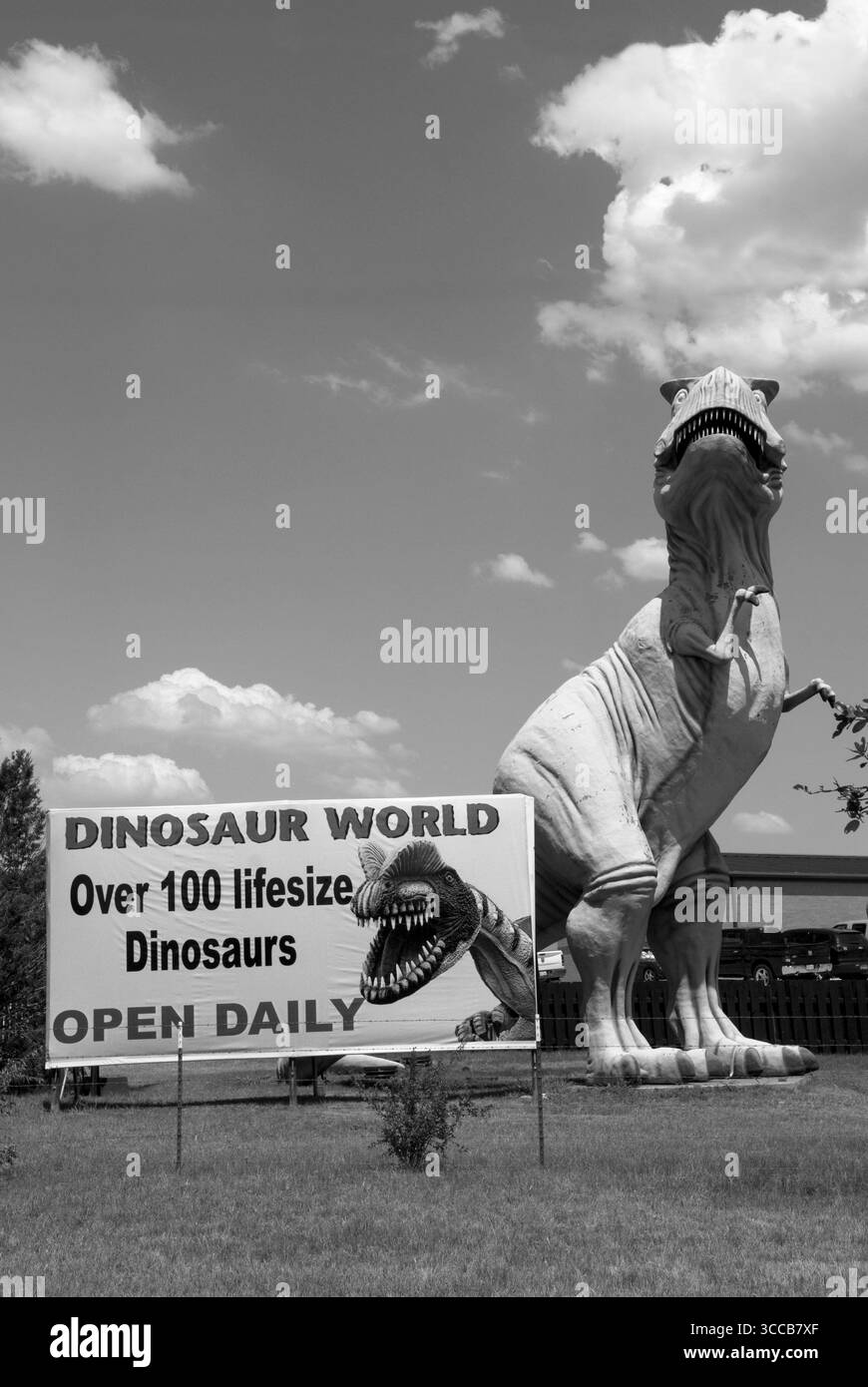 Dinosaur display board hi-res stock photography and images - Alamy