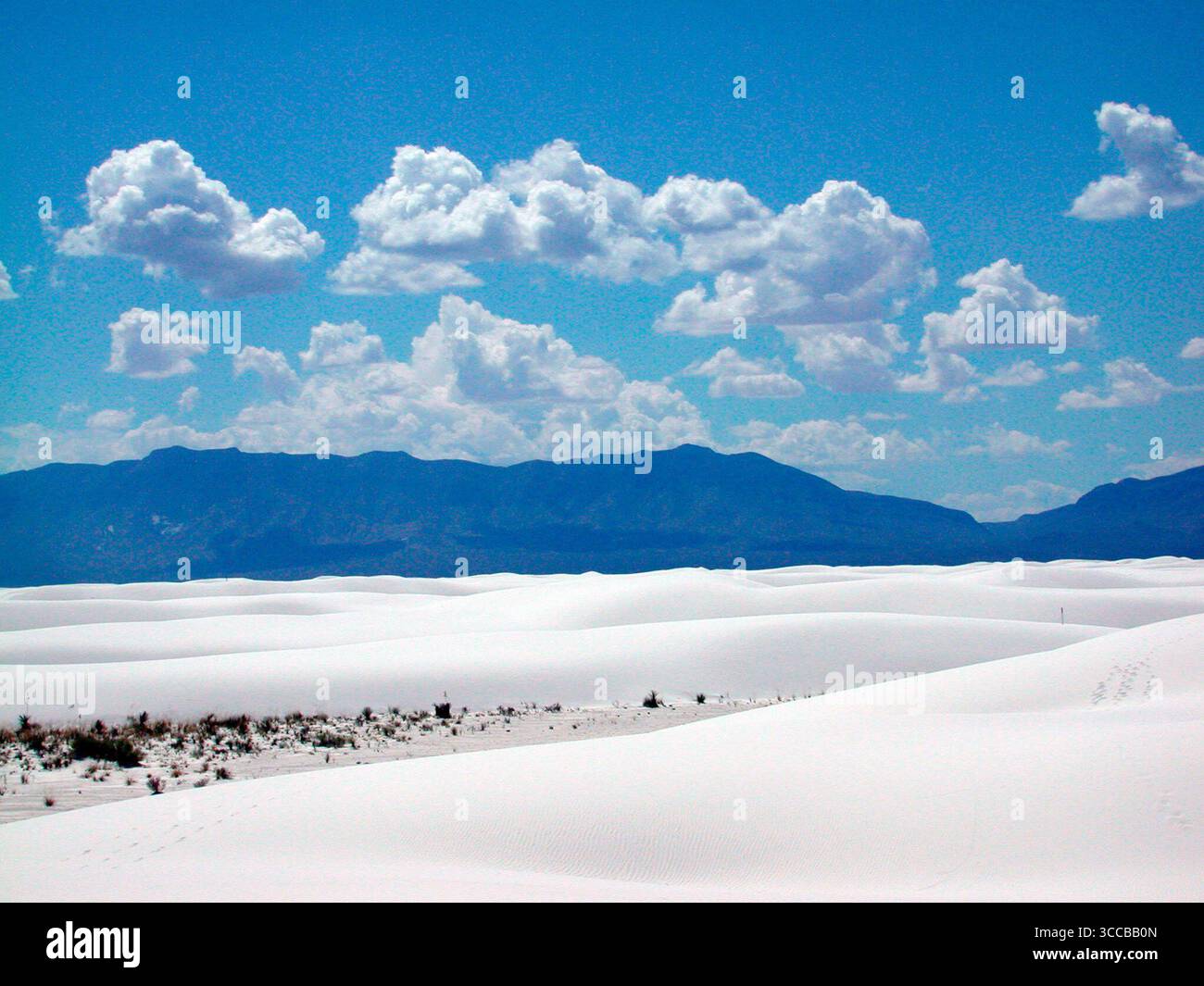 a desert landscape, an area in nature with little rainfall desert ...
