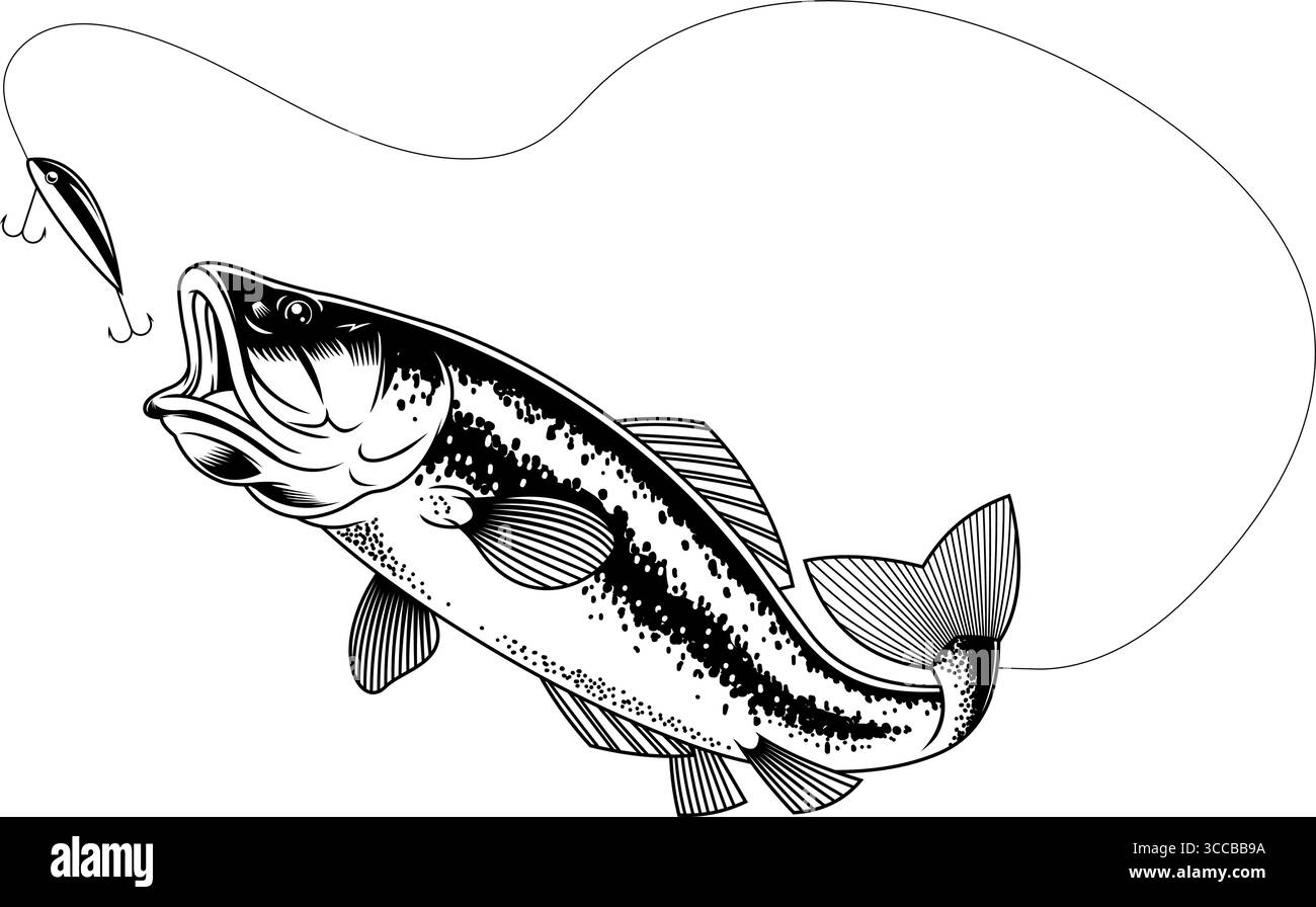 Outlined Largemouth Bass Fish Catching The Fishing Lure Graphic Design ...