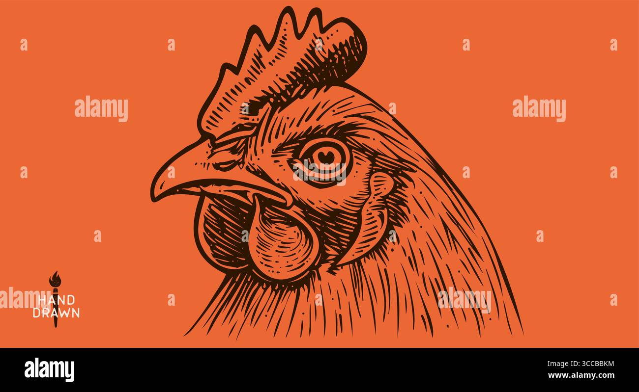 Chicken farm hen sketch hi-res stock photography and images - Alamy