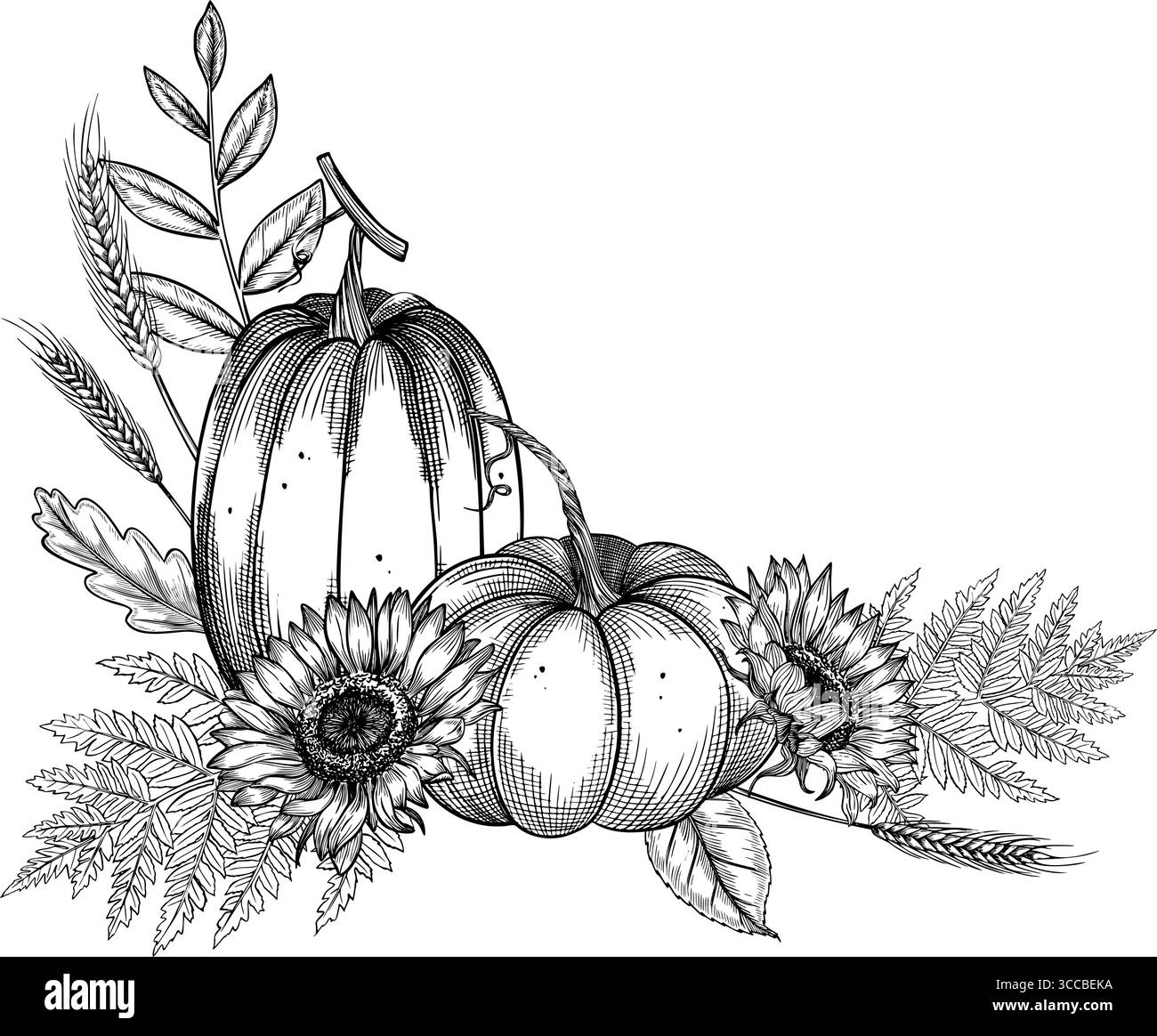 Vector illustration with Pumpkins and Sunflowers for harvest festival ...