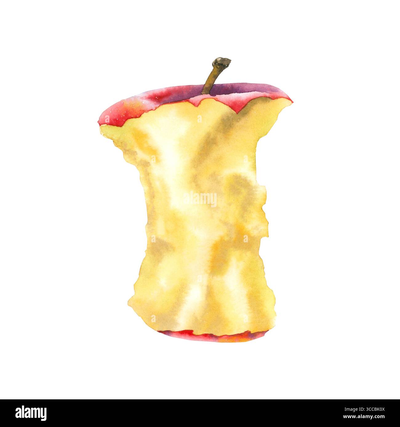 Watercolor illustration of a bitten apple core with red skin and a ...
