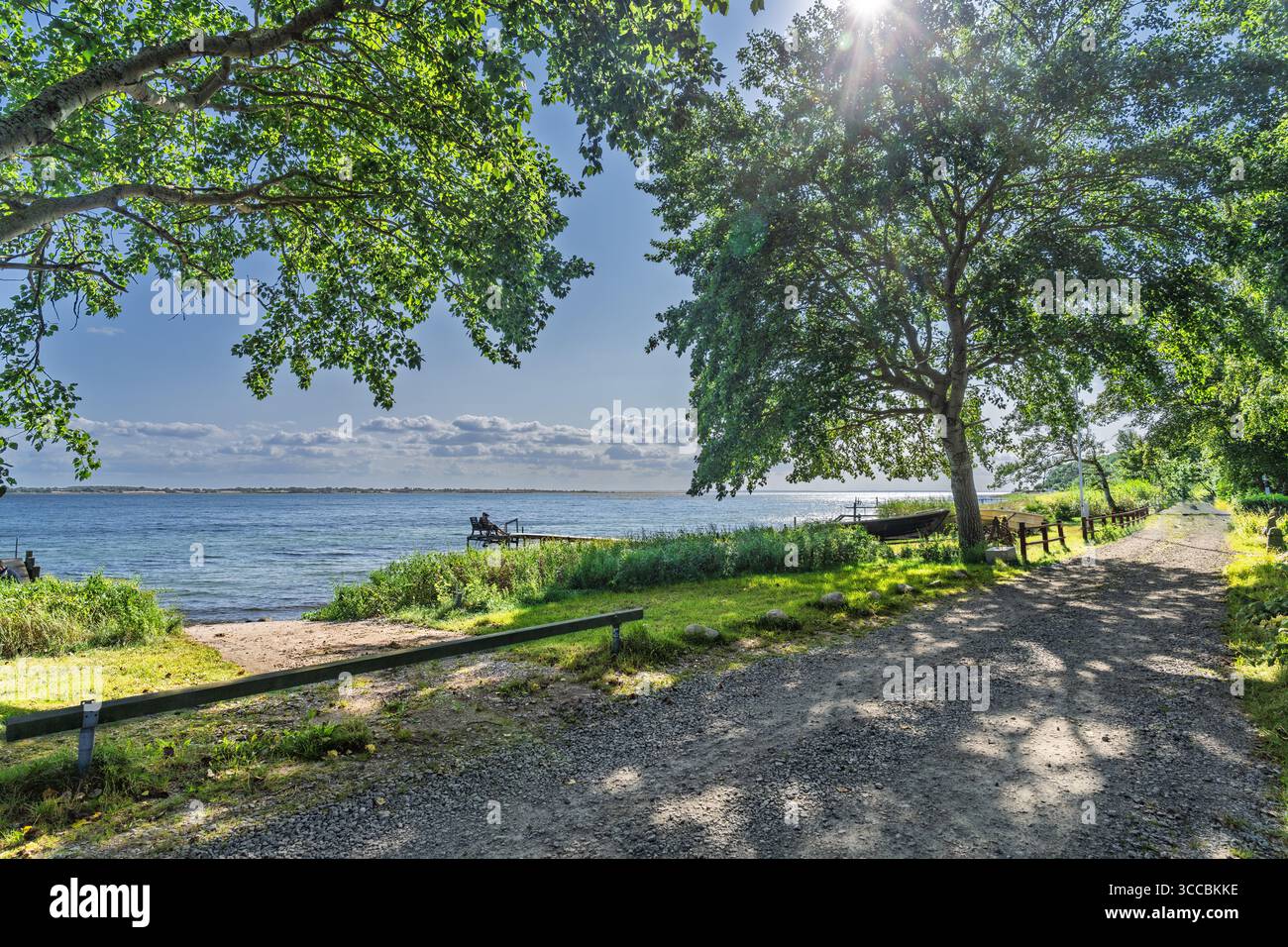 Tranquil scene of a lakeshore with a gravel path, lush greenery, and ...