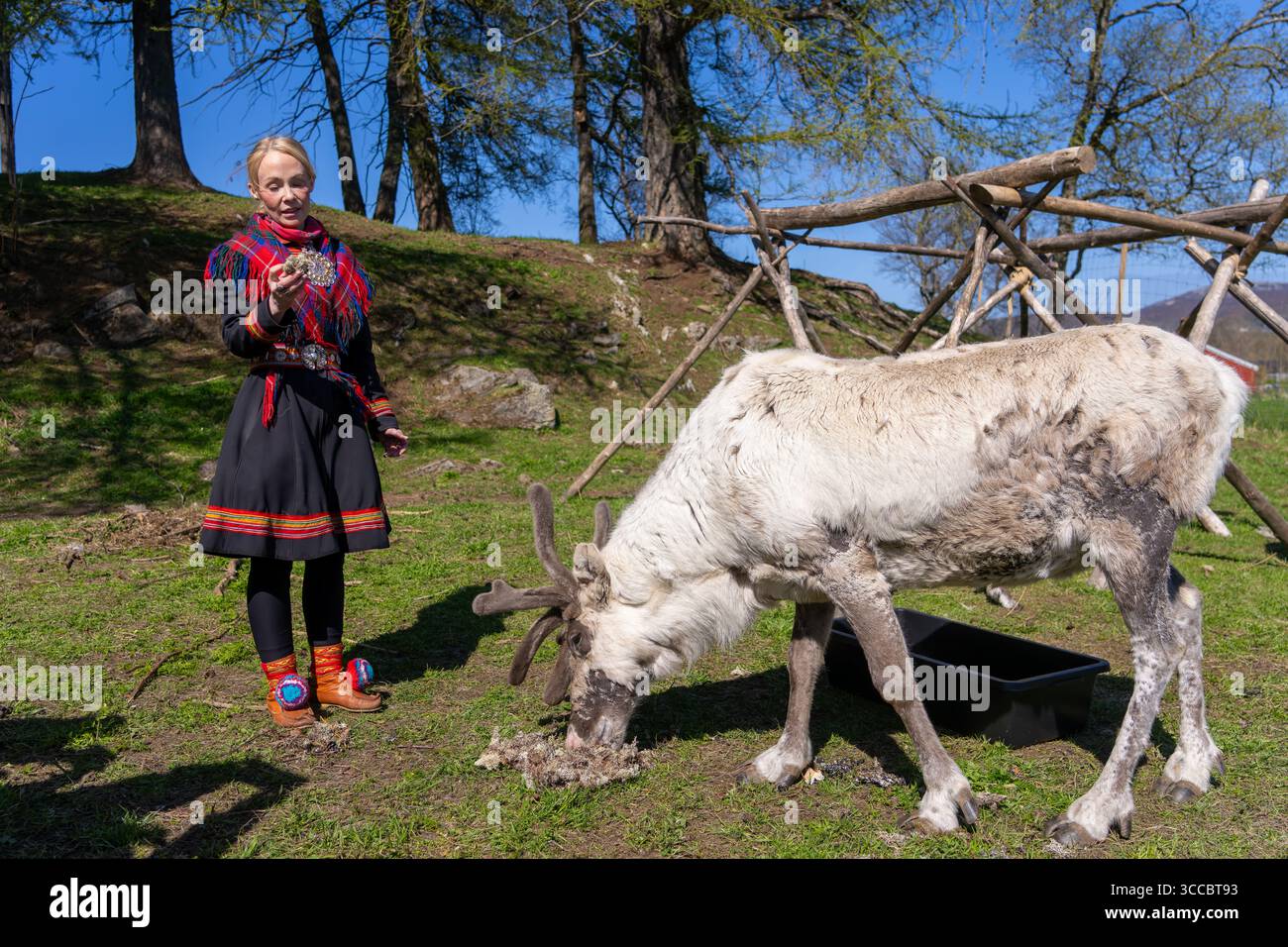 Sami woman traditional dress hi-res stock photography and images - Alamy