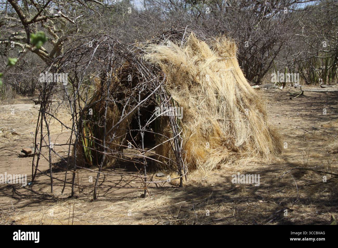 Straw Thatched huts in a Hadza Tribe village, Lake Eyasi, Tanzania ...