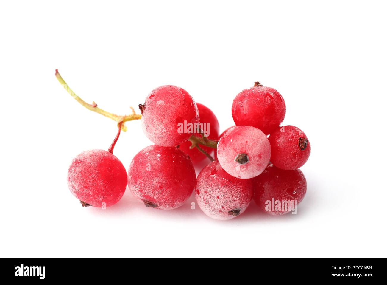 Red frozen currant berries isolated on white Stock Photo - Alamy