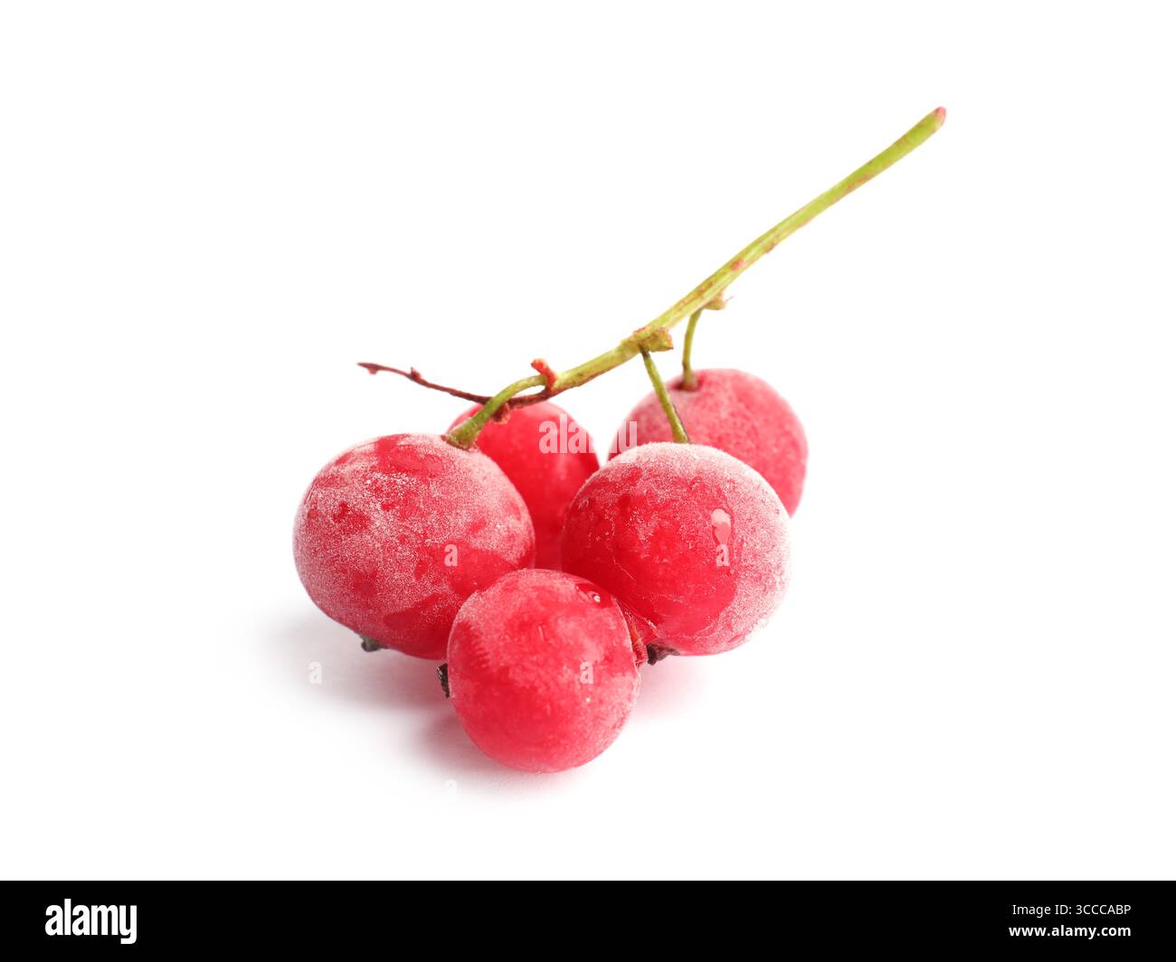 Red frozen currant berries isolated on white Stock Photo - Alamy