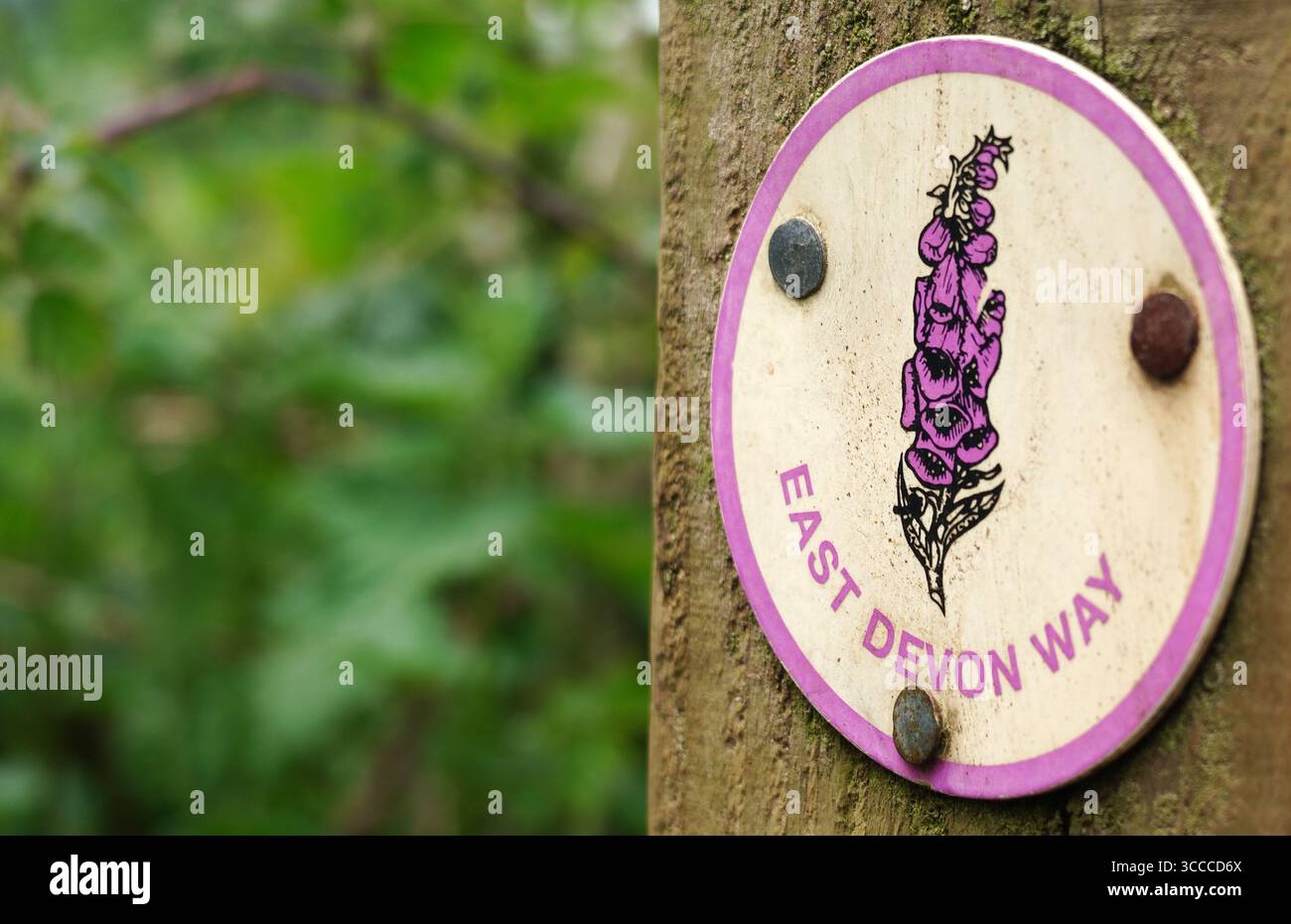 Long life beer hi-res stock photography and images - Alamy