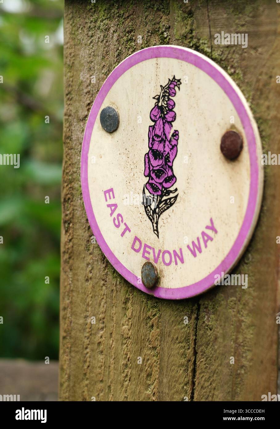 Way Marker Sign For The East Devon Way Long Distance Footpath, Devon ...