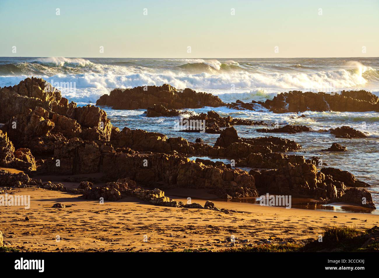 Indian ocean sedgefield garden hi-res stock photography and images - Alamy