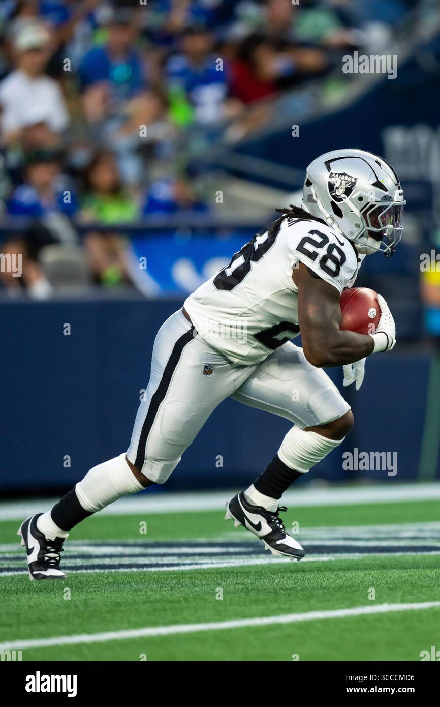 Las Vegas Raiders running back Sincere McCormick (28) runs with the ...