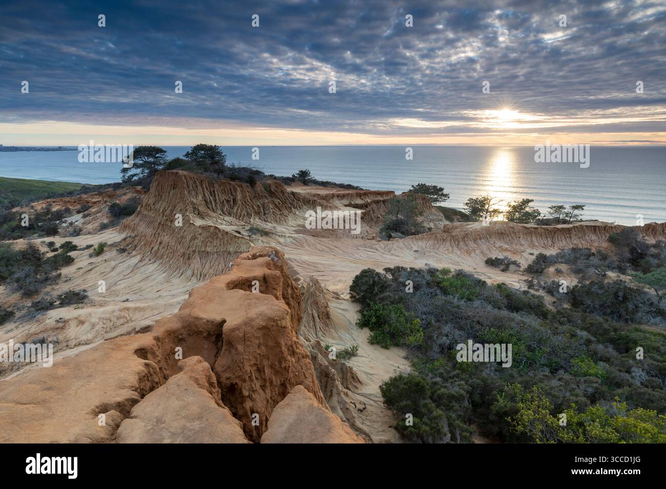 Sunset at Broken Hill Trail, Torrey Pines State Reserve, La Jolla, Ca Stock Photo - Alamy