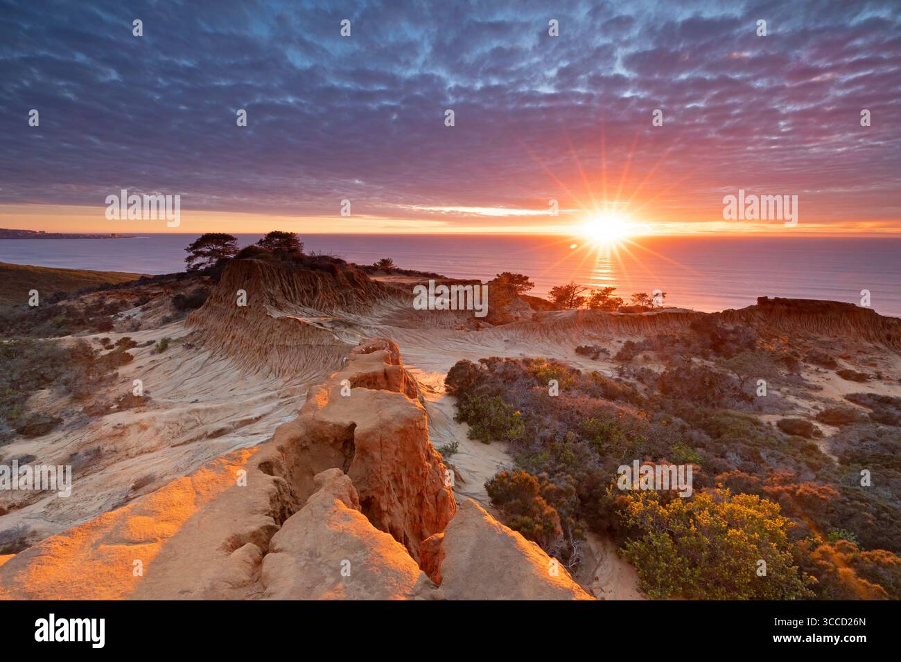 Sunset at Broken Hill Trail, Torrey Pines State Reserve, La Jolla, Ca Stock Photo - Alamy