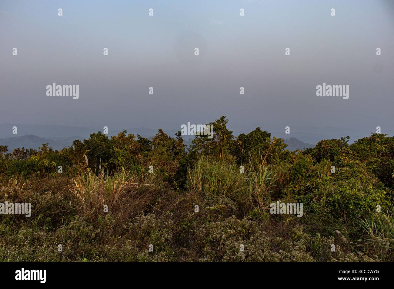 Misty cloudy morning view hi-res stock photography and images - Alamy