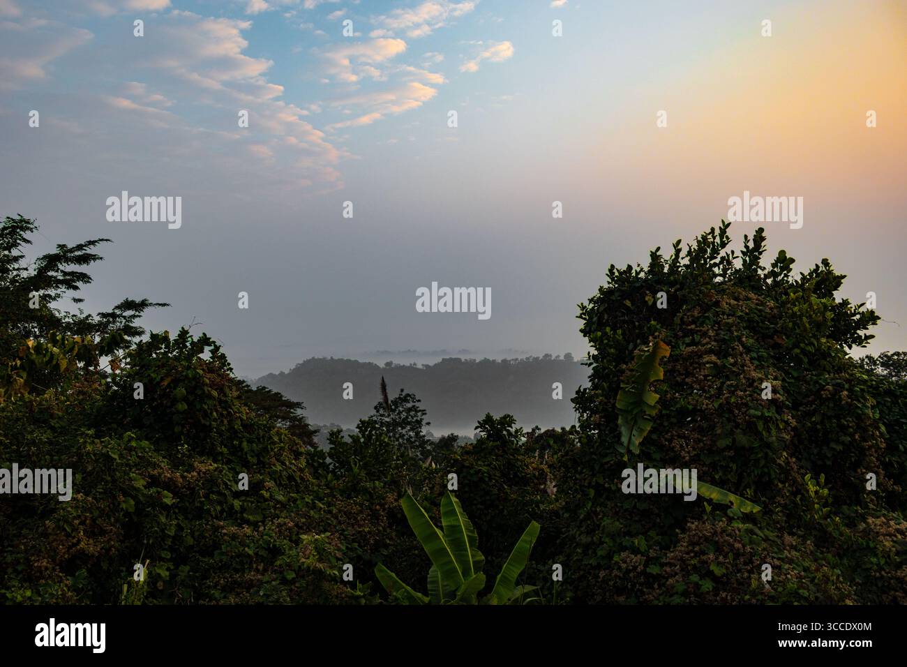 Early dawn in Sajek valley with thick clouds Stock Photo - Alamy