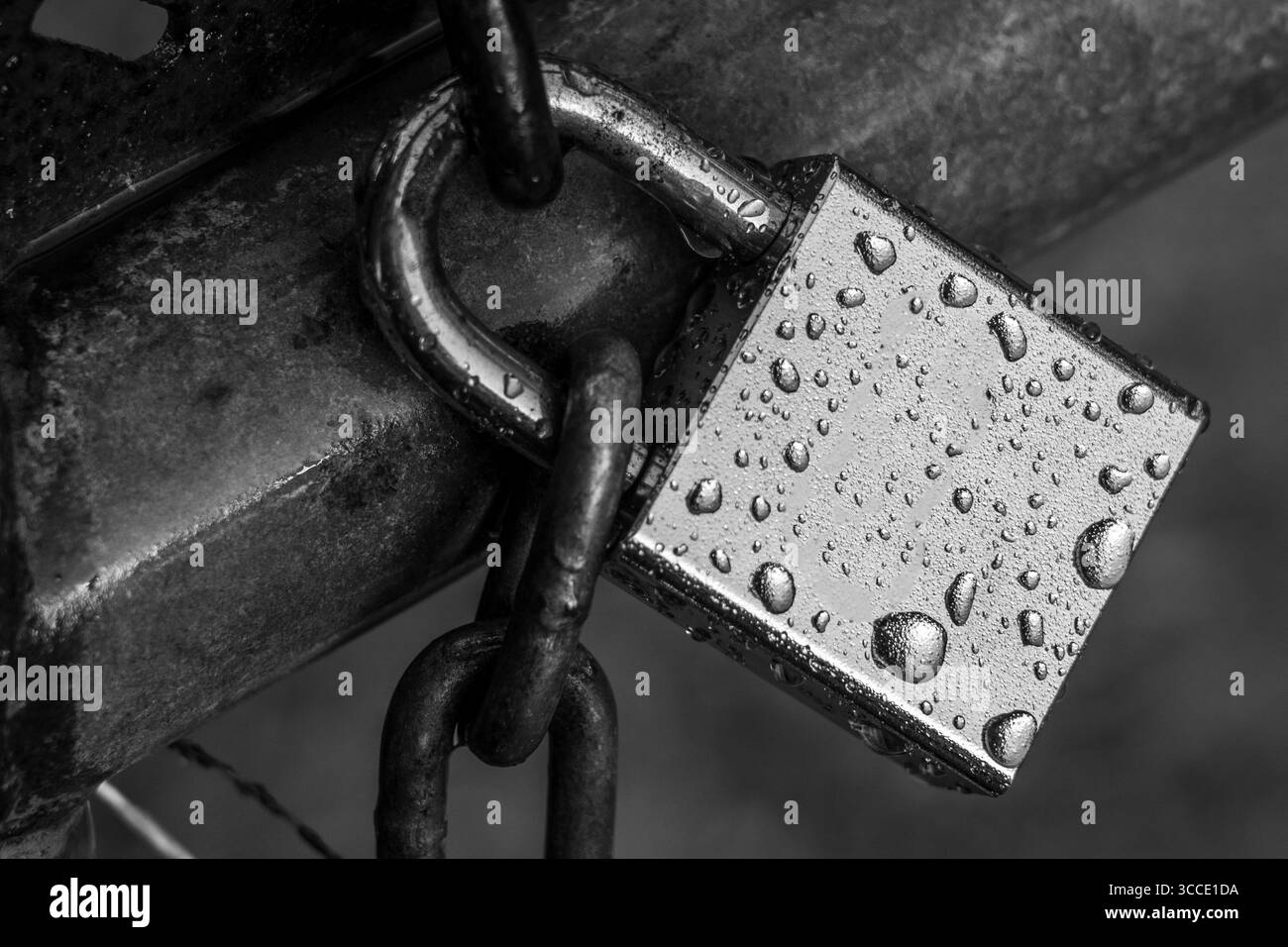 Water droplets gather on a lock that keeps hikers from reaching a trail ...