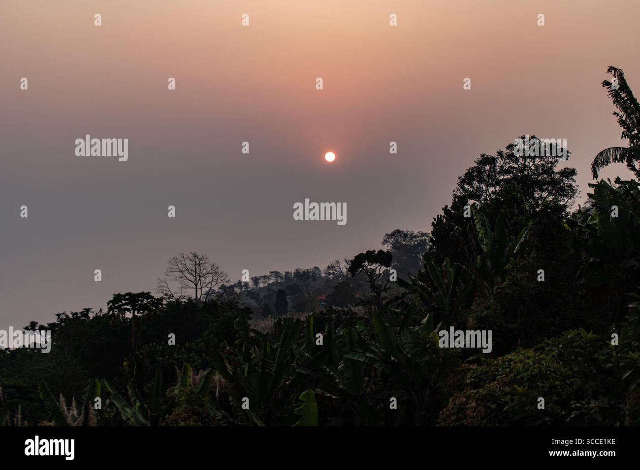 Twilight haze covering Sajek valley Stock Photo - Alamy