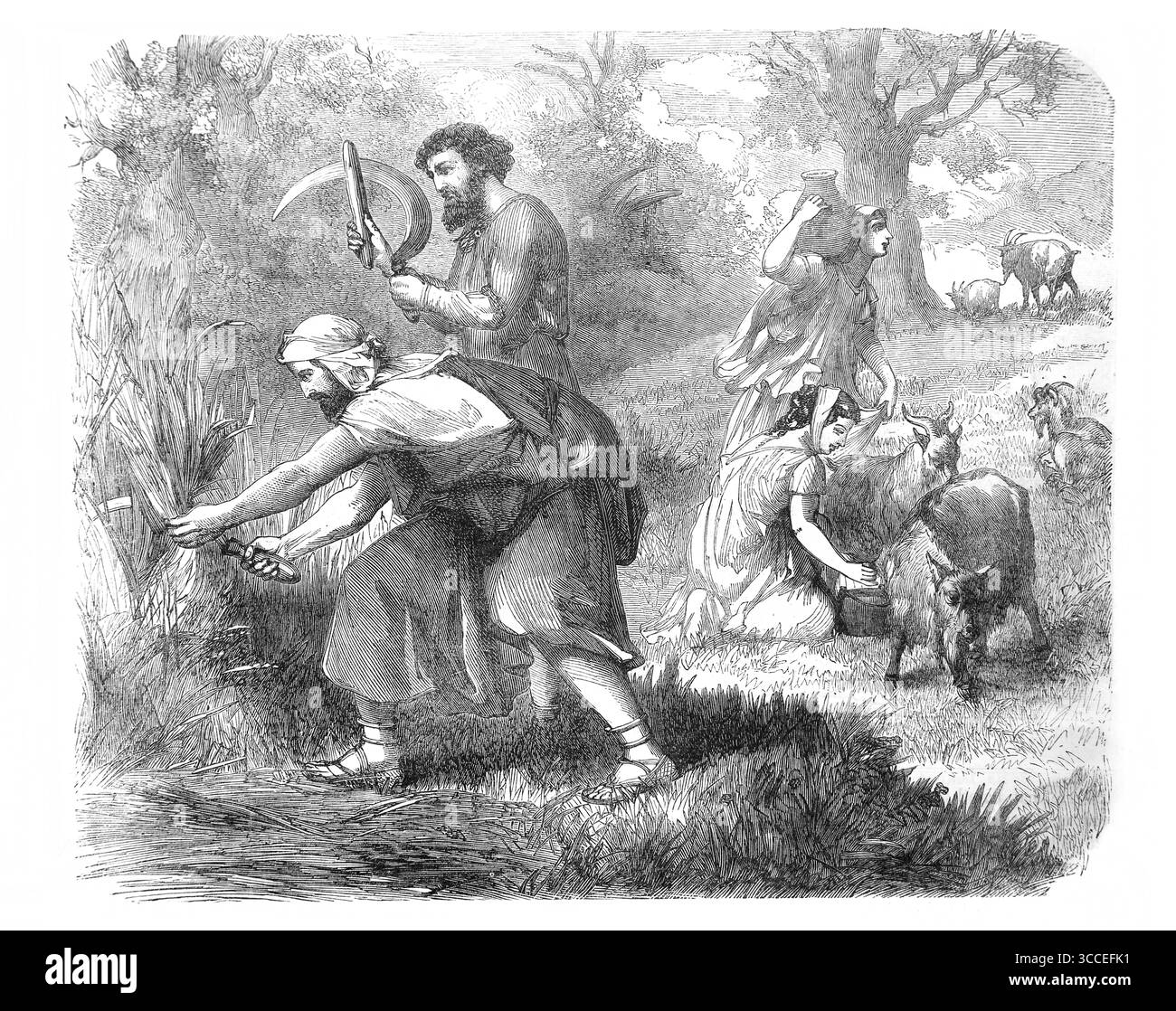 Holy field Cut Out Stock Images & Pictures - Alamy