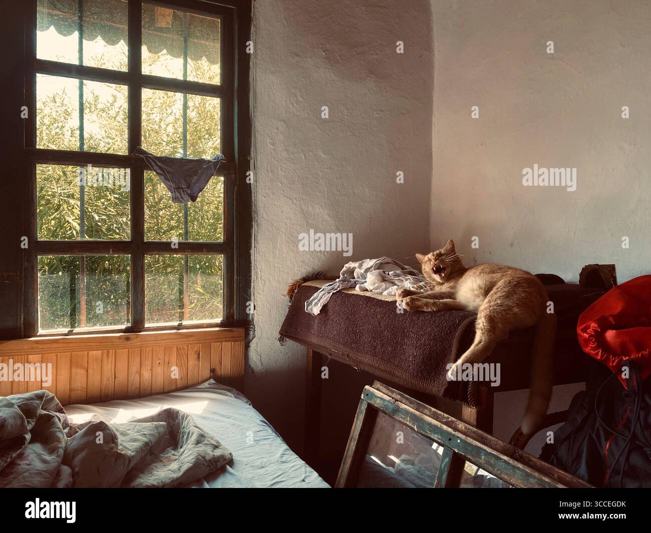 Johannes vermeer malerei hi-res stock photography and images - Alamy