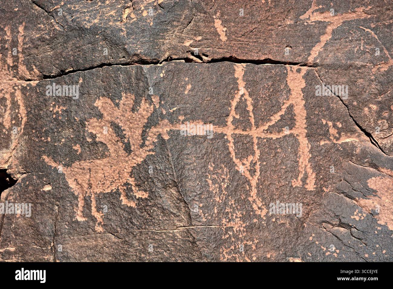 Ancient Rosy Canyon Petroglyph in Arizona Desert Stock Photo - Alamy
