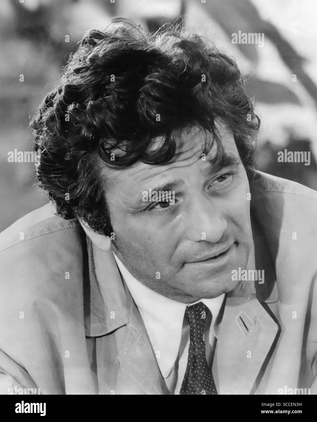Peter Falk. Portrait of Peter Falk (1927-2011) as the homicide ...