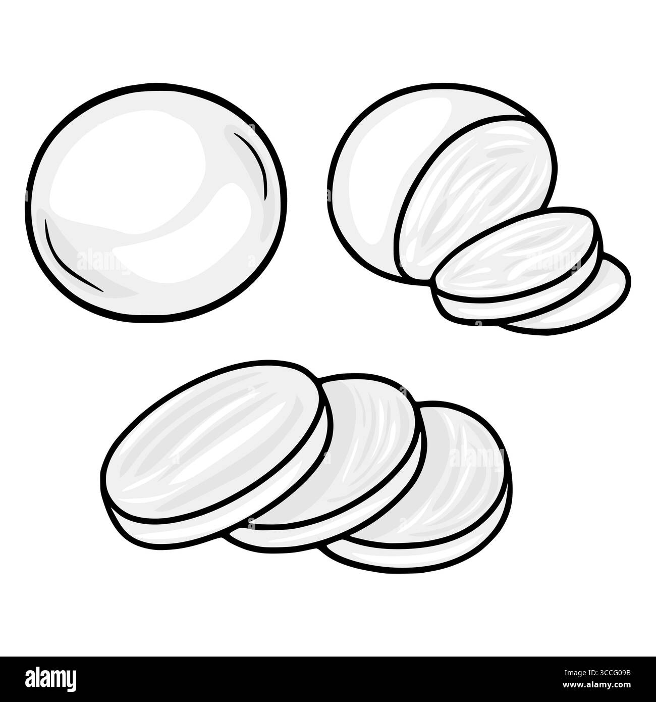 A vector illustration showcasing a whole Mozzarella cheese wheel and ...