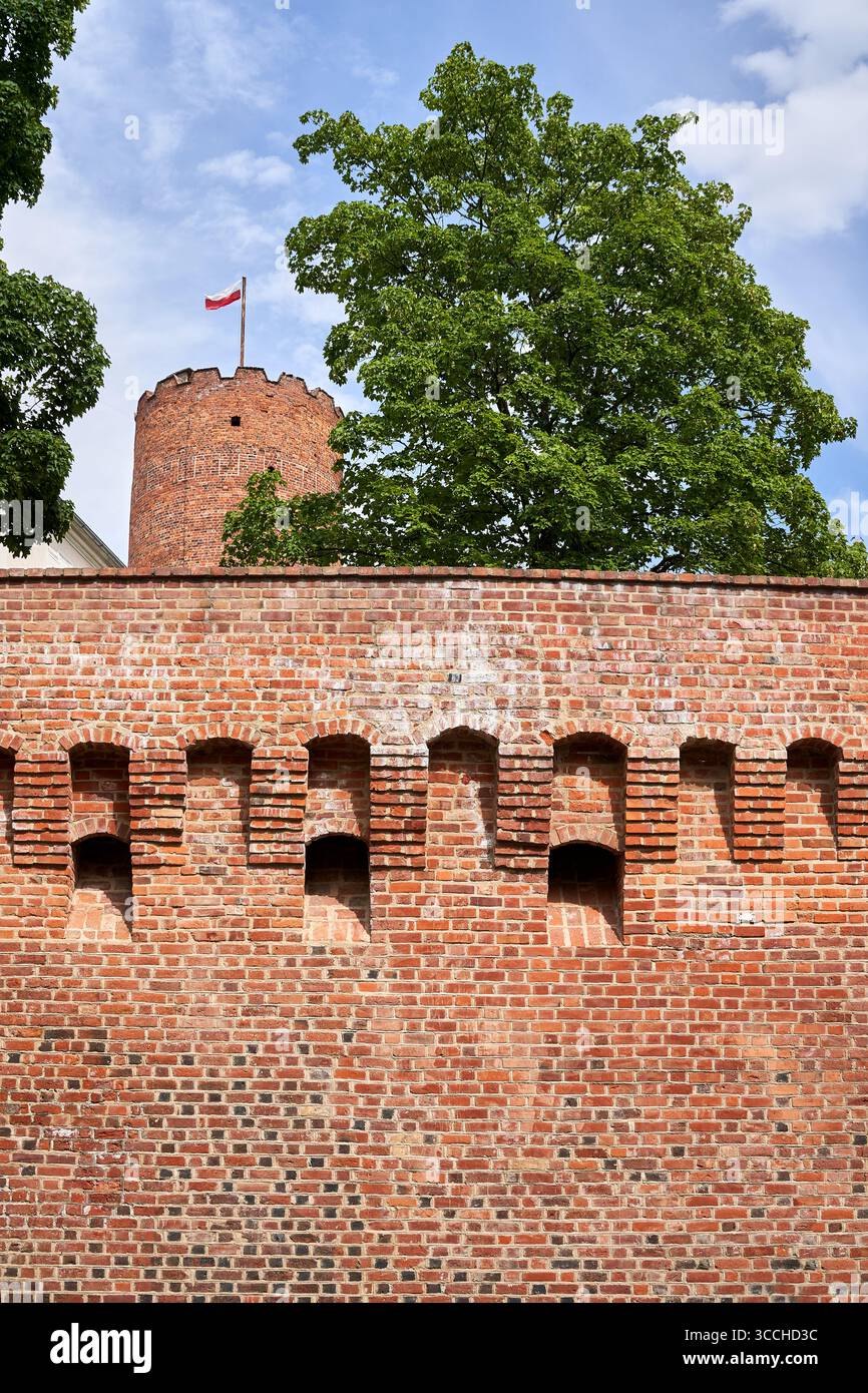 Medieval defensive wall of a historic castle with a tower in Lagow ...