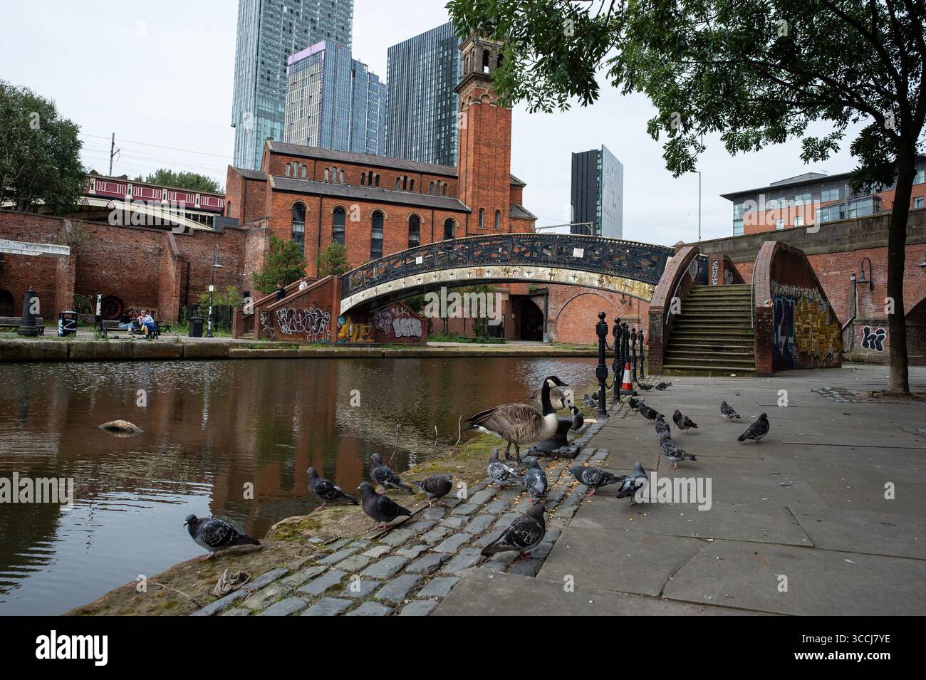 View of the Castlefield canal in Manchester, August 10, 2025, England ...